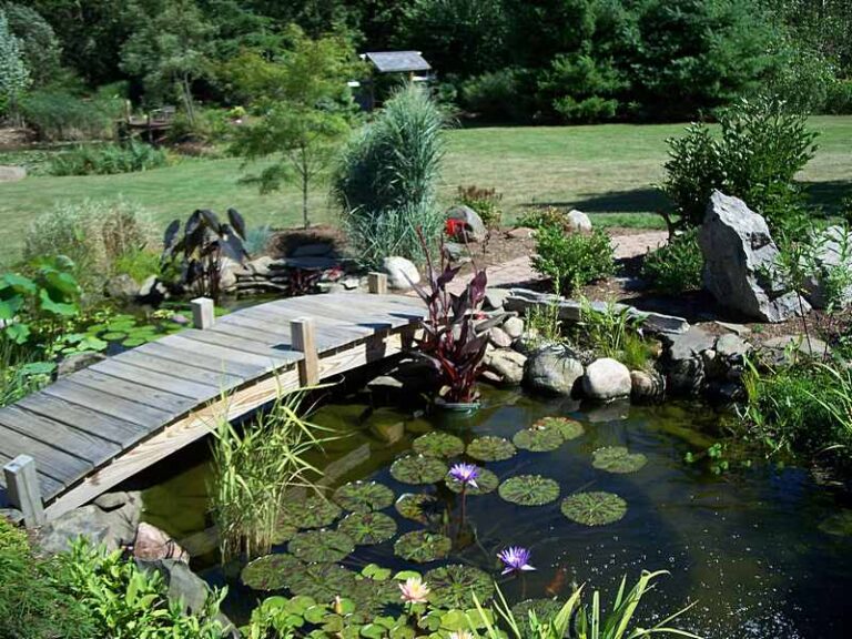 40 Foto ed Idee per Bellissimi Laghetti da Giardino | MondoDesign.it