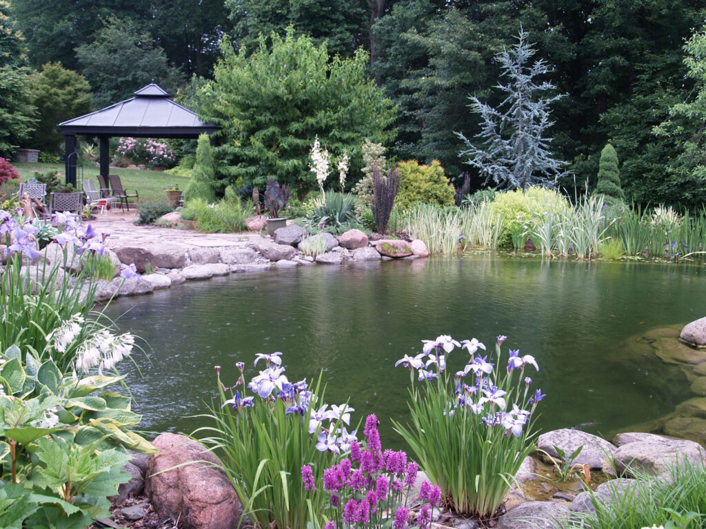 45 Foto e Idee per Bellissimi Laghetti da Giardino | MondoDesign.it