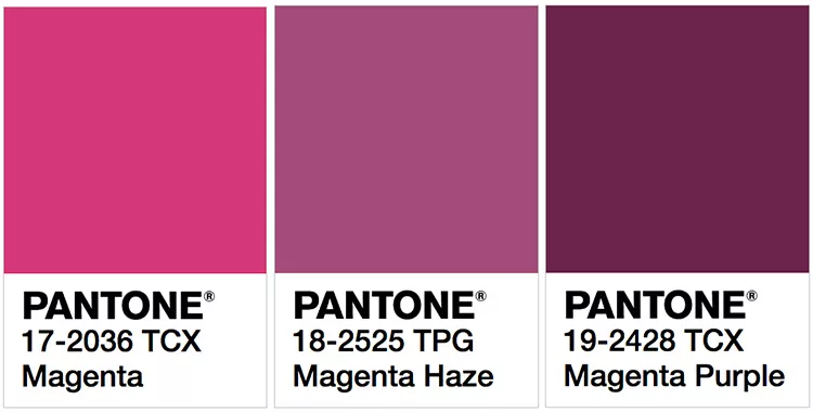 Color Magenta: Gradazioni, Abbinamenti e Idee di Arredamento ...