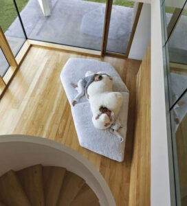 40 Modelli di Divani Particolarissimi | MondoDesign.it