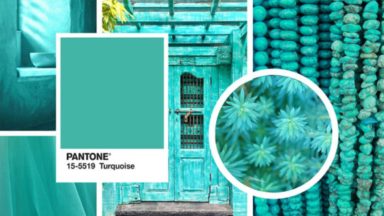 Colore Turchese: Idee per Pareti, Arredi e Abbinamenti | MondoDesign.it