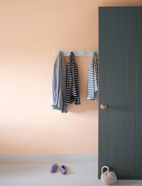 Color Pesca per Pareti e Arredamento | MondoDesign.it