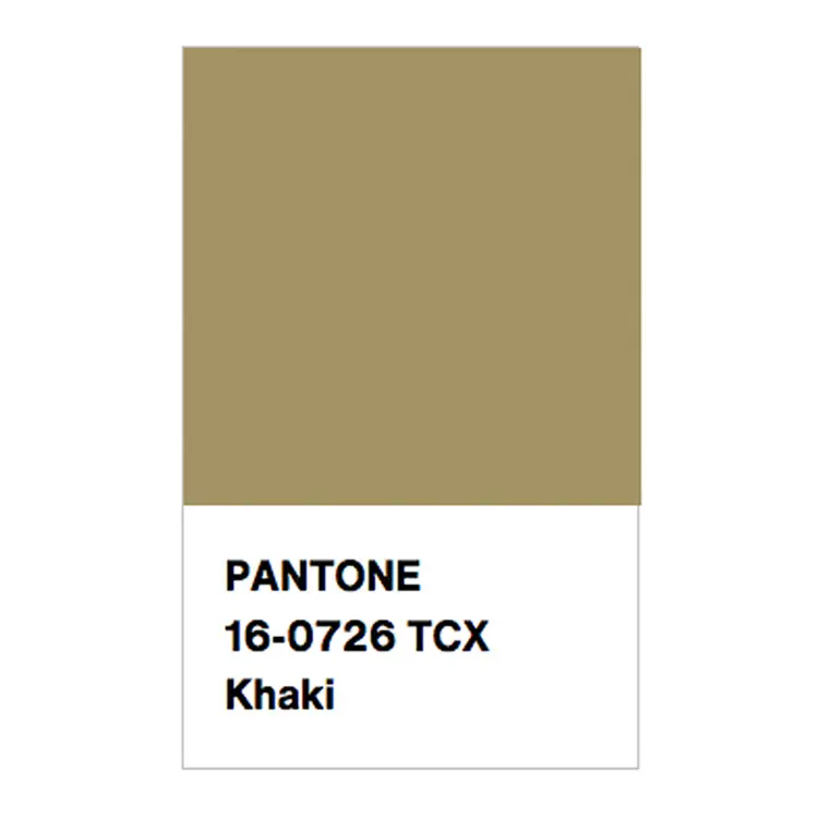 Color Cachi o Kaki: Idee per Pareti, Arredi e Abbinamenti | MondoDesign.it