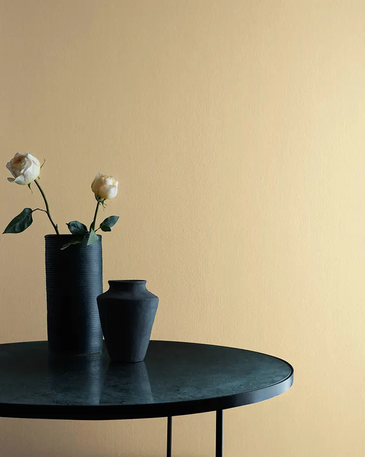 Color Cachi o Kaki: Idee per Pareti, Arredi e Abbinamenti | MondoDesign.it