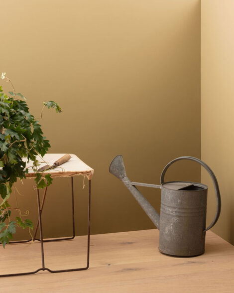 Color Cachi o Kaki: Idee per Pareti, Arredi e Abbinamenti | MondoDesign.it