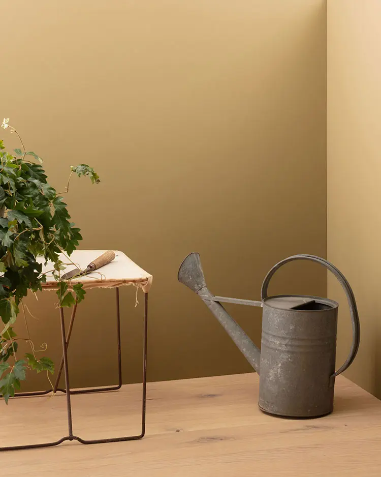 Color Cachi o Kaki: Idee per Pareti, Arredi e Abbinamenti | MondoDesign.it