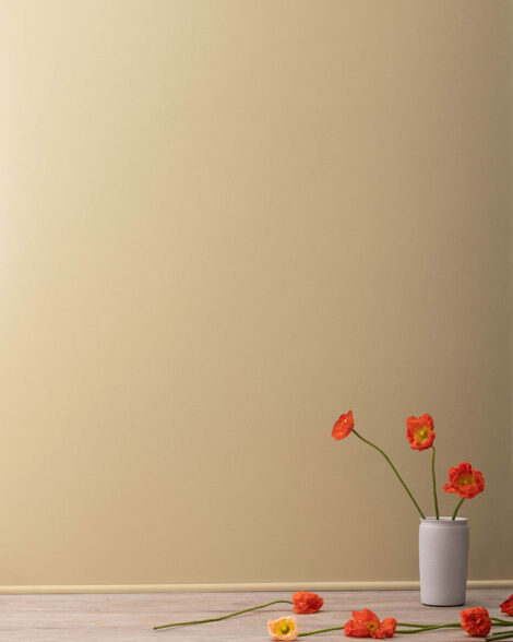 Color Cachi o Kaki: Idee per Pareti, Arredi e Abbinamenti | MondoDesign.it