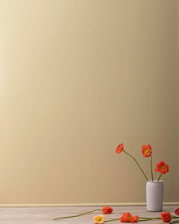 Color Cachi o Kaki: Idee per Pareti, Arredi e Abbinamenti | MondoDesign.it