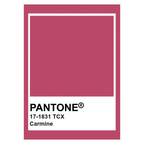 Colore Rosso Carminio per Pareti e Arredi | MondoDesign.it